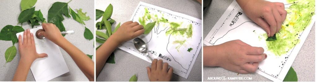 33 Plant Life Cycle Activities: Free and Creative Teaching Ideas