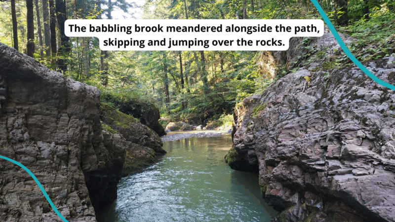 50+ Personification Examples That Bring Writing To Life