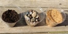 Best Peter Rabbit Activities for the Classroom - WeAreTeachers