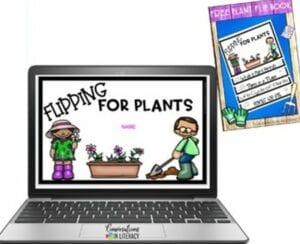 33 Plant Life Cycle Activities: Free and Creative Teaching Ideas