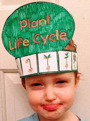 33 Plant Life Cycle Activities: Free and Creative Teaching Ideas