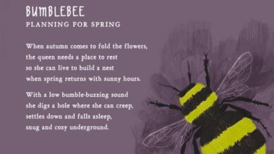 40 Inspiring Poetry Games and Activities for the Classroom