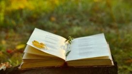 9 Poems for Boys (and Girls) Who Say They Hate Poetry - We Are Teachers