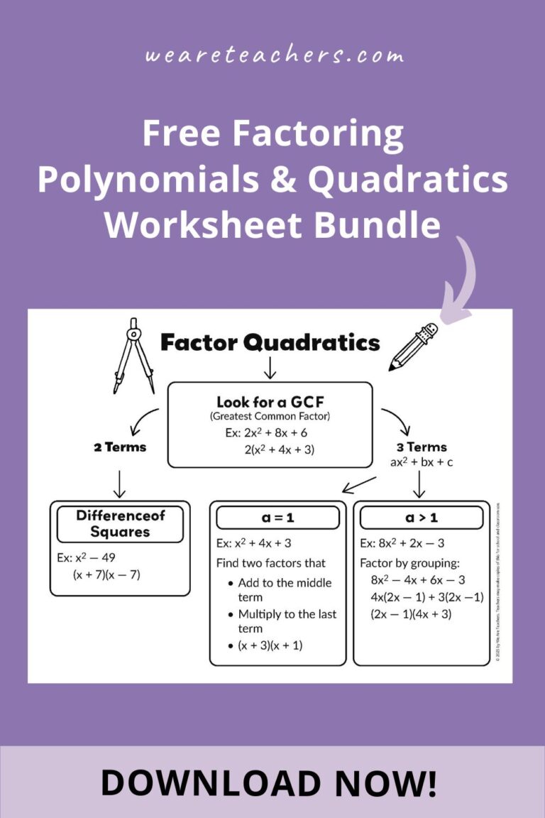 Free Factoring Polynomials and Quadratics Worksheet Bundle