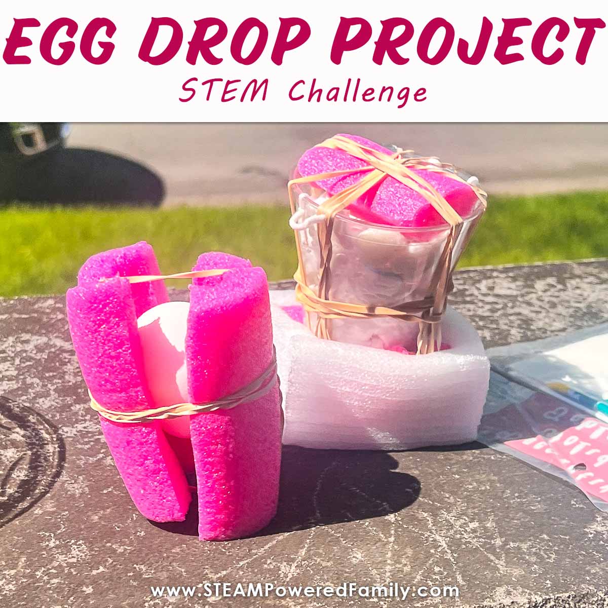 27 Best Egg Drop Challenge Ideas - June 2024