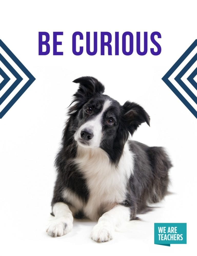 Classroom Rules Posters Featuring Lovable Puppies