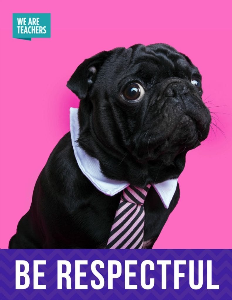 Classroom Rules Posters Featuring Lovable Puppies