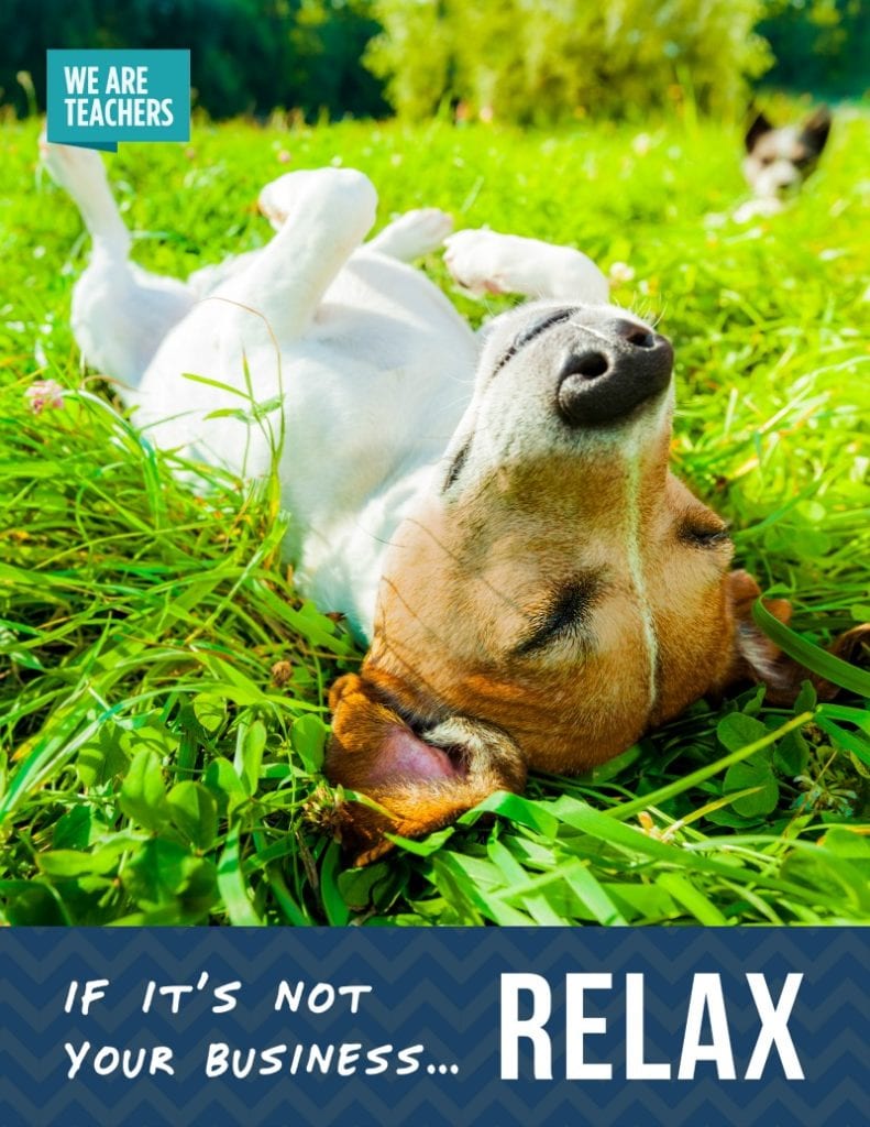 Classroom Rules Posters Featuring Lovable Puppies