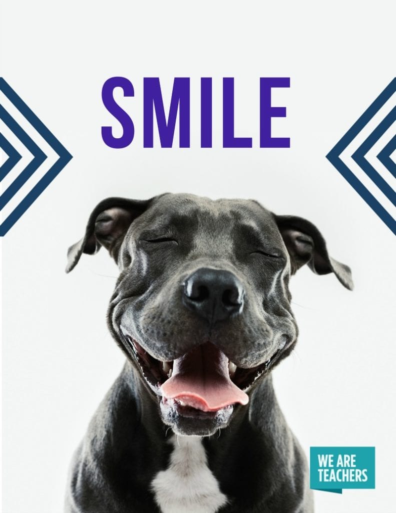 Classroom Rules Posters Featuring Lovable Puppies