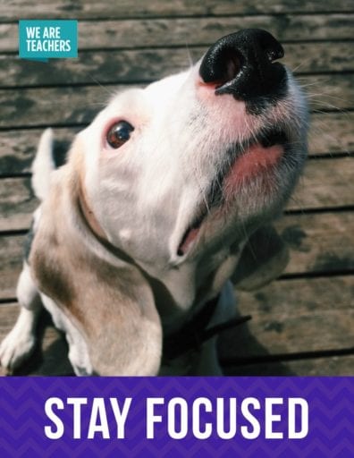 Classroom Rules Posters Featuring Lovable Puppies