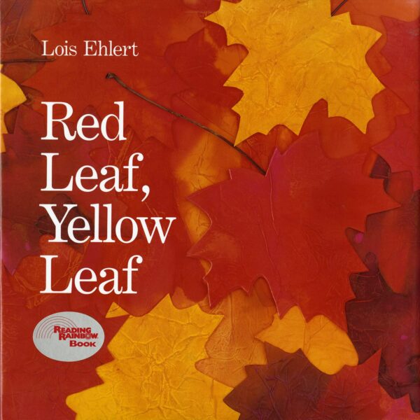 46 Books About Trees To Deepen Your Connection With Nature