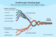 Scarborough's Reading Rope: How Kids Develop Reading Fluency