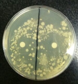 80 Best High School Science Experiments in Every Subject