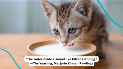 What Is a Simile? 60+ Examples and Teaching Ideas