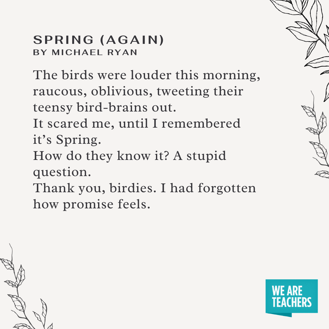 47 Beautiful and Inspiring Spring Poems - Honct.com
