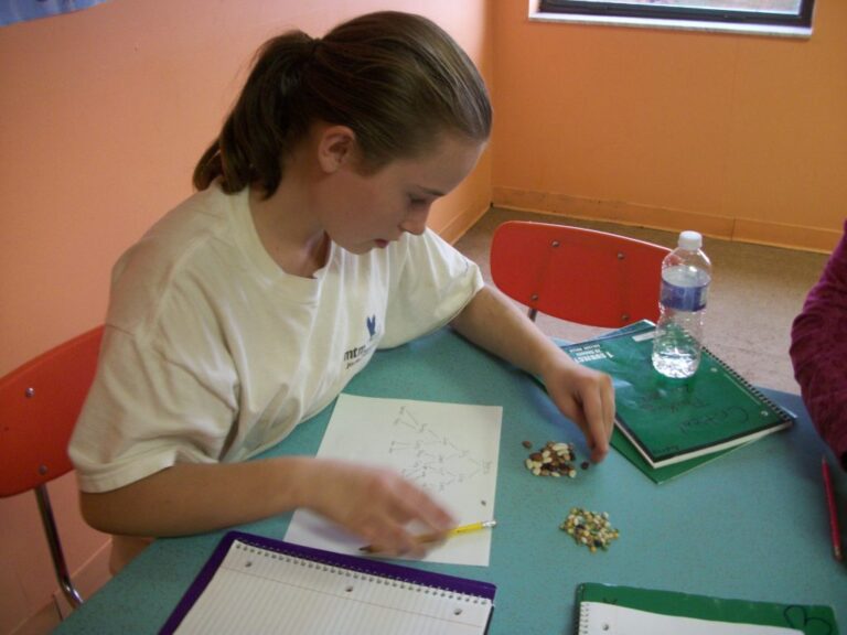 75+ Best Science Fair Ideas for 7th Grade