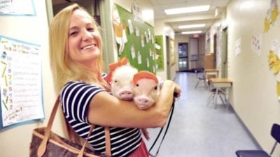 This Teacher Takes Two Pigs to Her Classroom Every Single Day