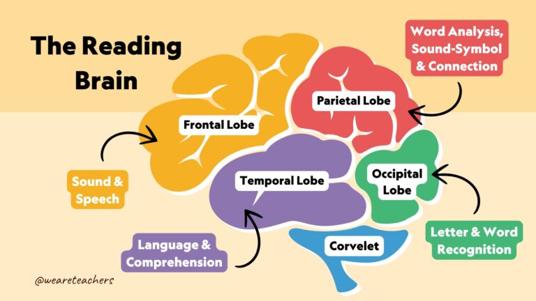 What Is the Science of Reading? - We Are Teachers