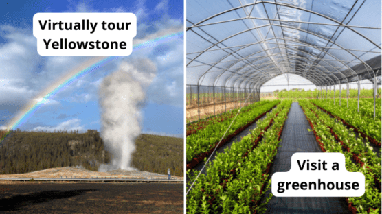 260+ Field Trip Ideas for Grades PreK-12 (In-Person and Virtual)