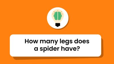 150+ Trivia Questions for Kids & Teens With Answers (Free Slides!)