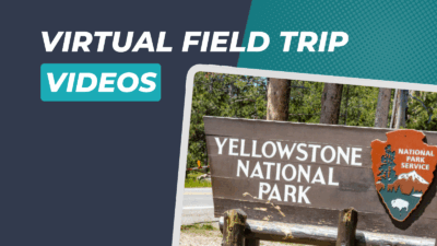 38 Best Virtual Zoo Field Trips, Virtual Zoo Tours, and Zoo Cams