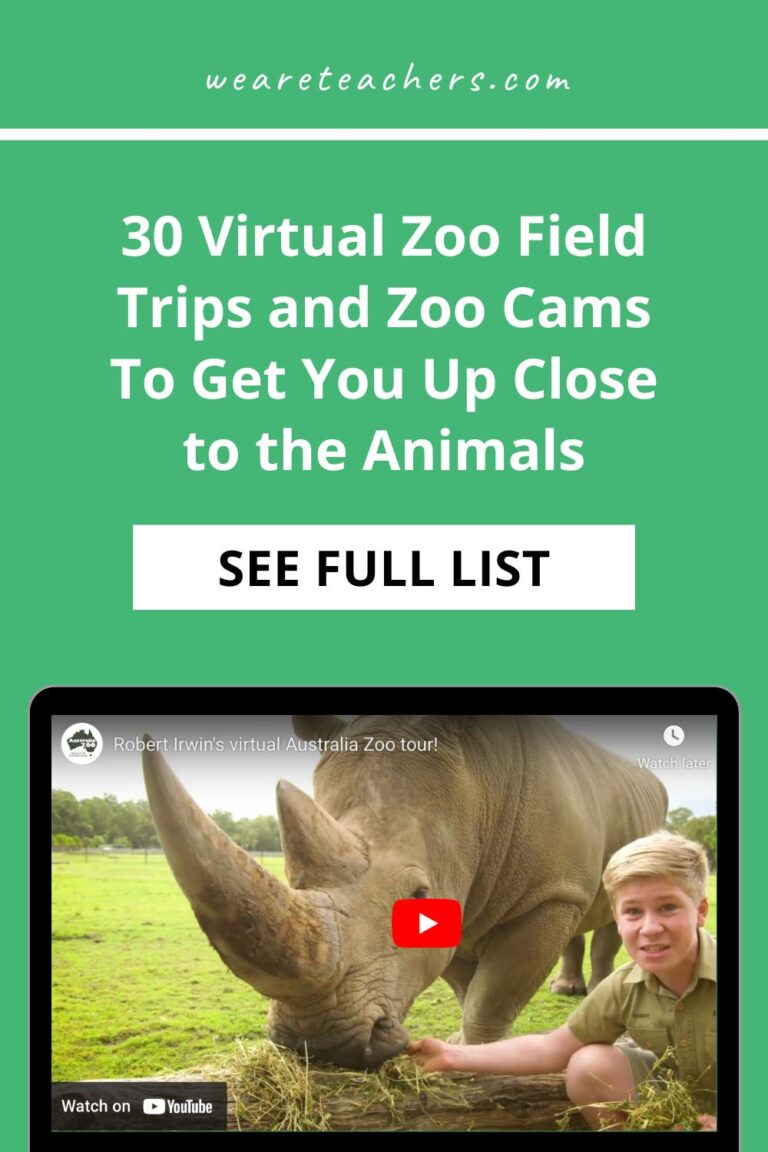 30 Best Virtual Zoo Field Trips, Virtual Zoo Tours, and Zoo Cams ...