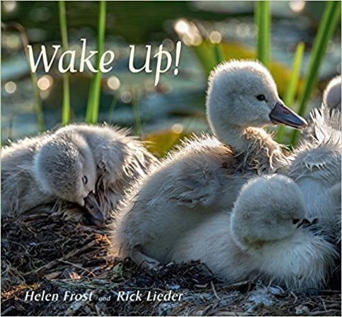 Best Spring Books for Kids, As Chosen by Teachers