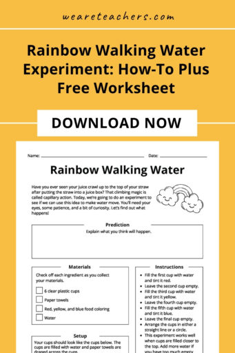 Rainbow Walking Water Experiment: How-To Plus Free Worksheet