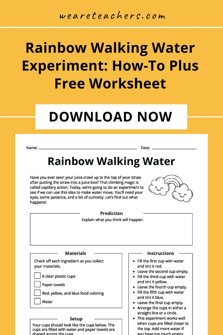 Rainbow Walking Water Experiment: How-To Plus Free Worksheet