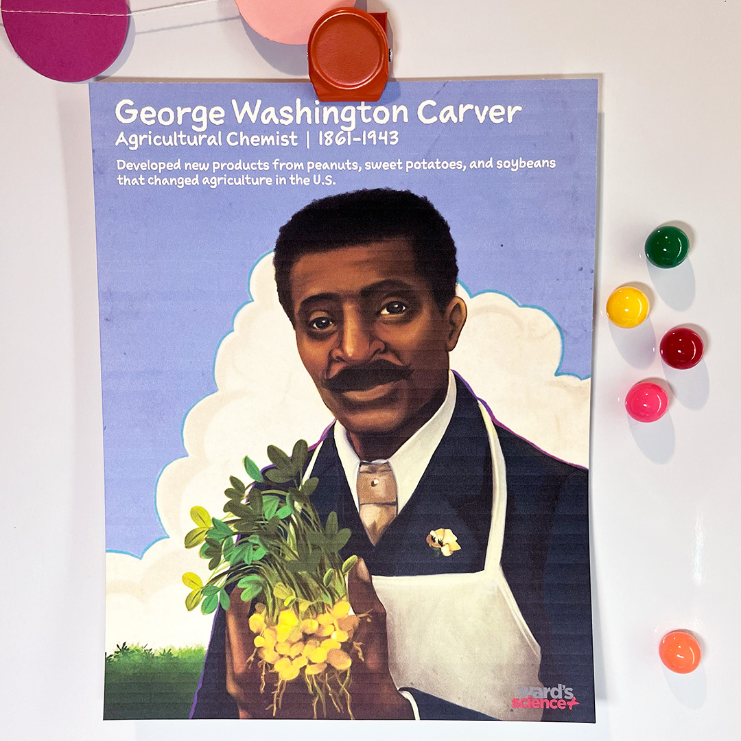 Black Scientist Posters To Celebrate Black History All Year Long ...