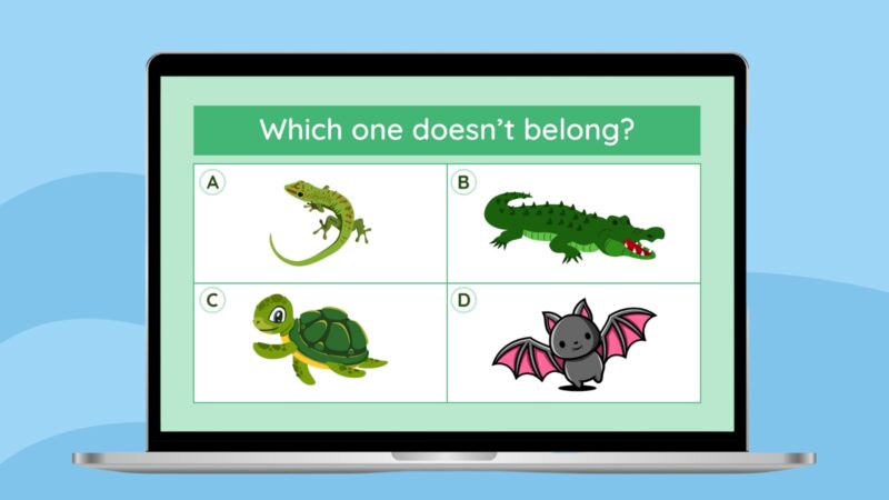 Which One Doesn't Belong? Free Slides Worksheet Bundle - Dvonee.com