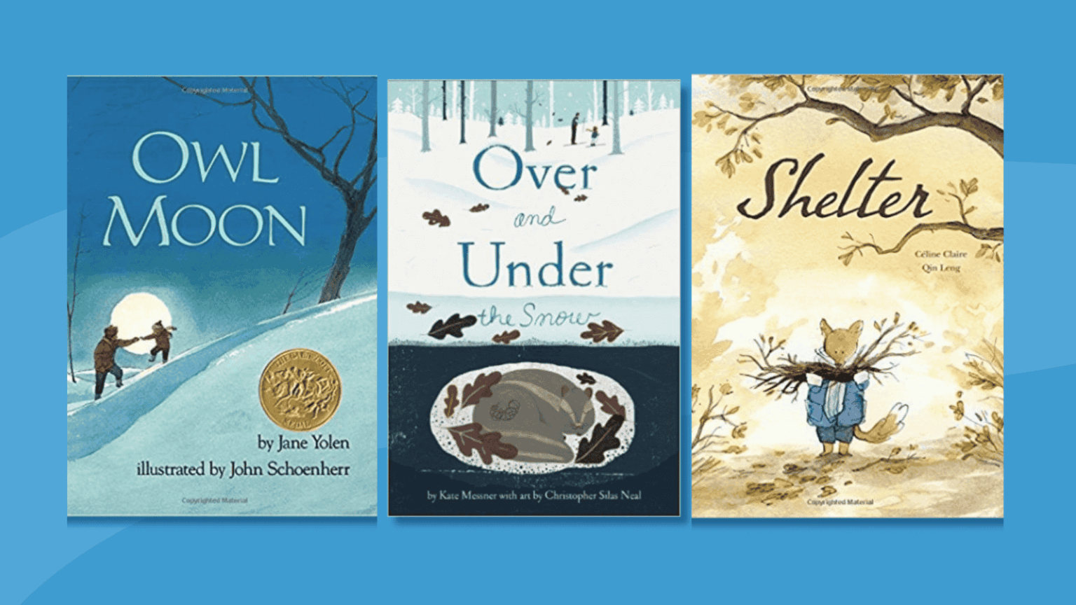 43 Best Winter Picture Books for the Classroom