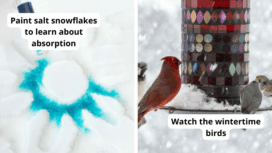 40 Best Winter Science Experiments for Kids of All Ages