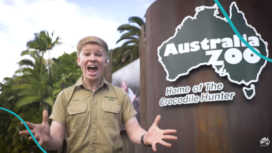 38 Best Virtual Zoo Field Trips, Virtual Zoo Tours, and Zoo Cams